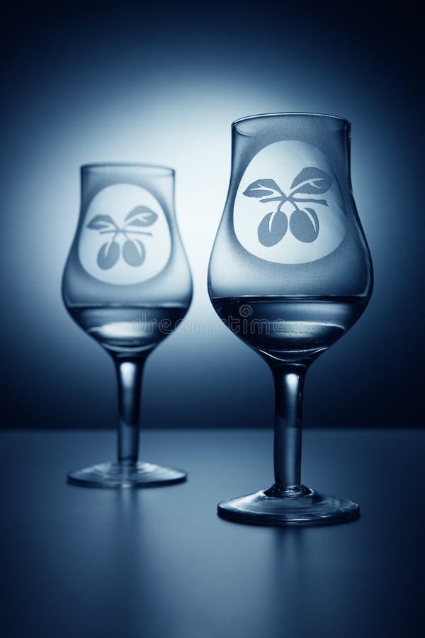 Slivovitz stock image. Image of design, leaves, bottle - 23305545