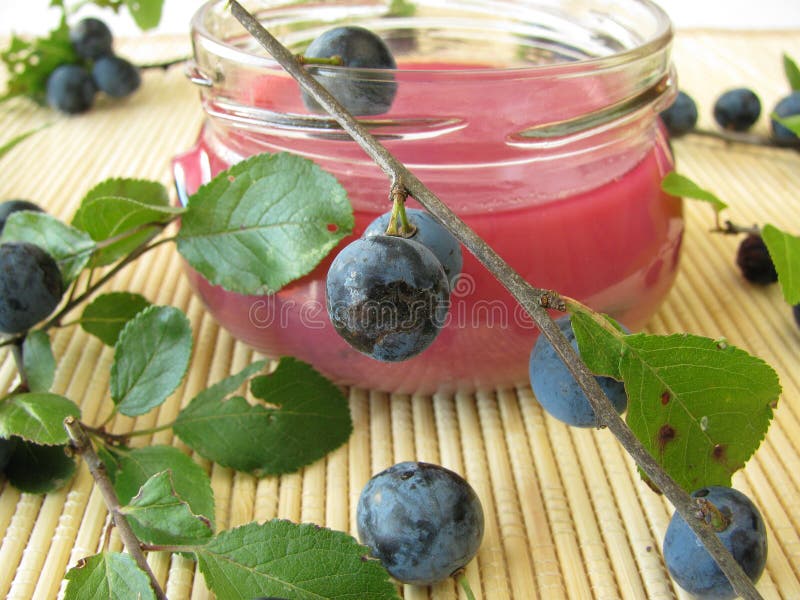Sloe jam stock image. Image of blackthorn, preservation - 20991545
