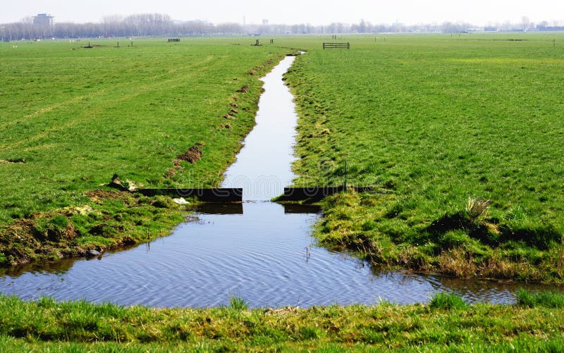 Greppel in de weide stock foto. Image of weid, weide, zonnig - 8796828