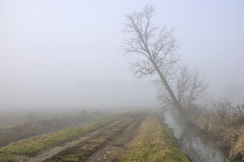 Engels Platteland: Rivier Op Bosopen Plek Stock Foto - Image of engels ...