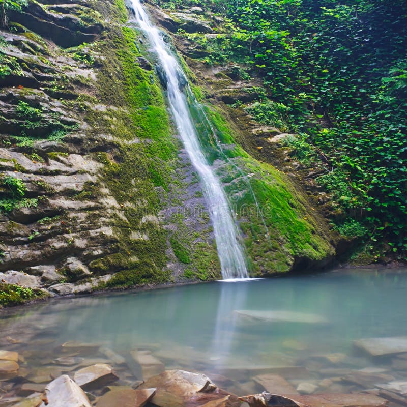 Slope Covered with Ivy and Moss with Waterfall Flowing Down Stock Image ...