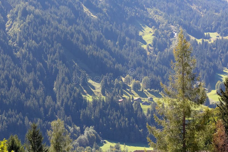 Slope, Dark Forest and Small Meadows Stock Photo - Image of landscape ...