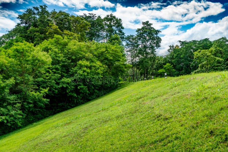 Grass Slope-Nanchang Mei Lake Scenic Area Stock Image - Image of scenic ...