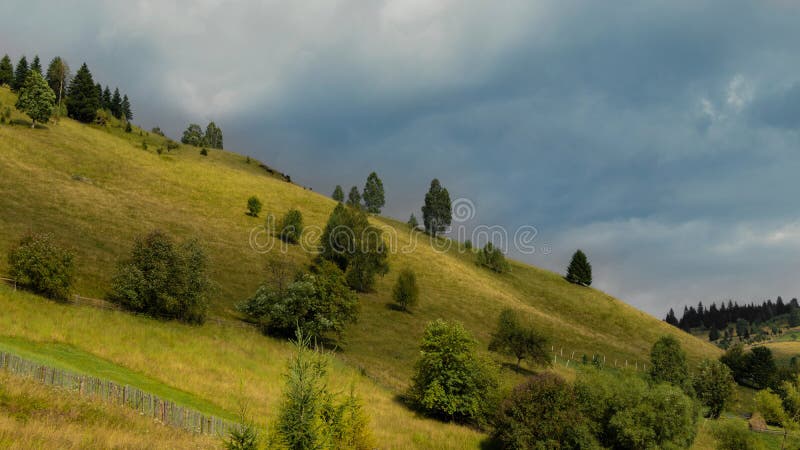 Slope hill and trees stock image. Image of beautiful - 164594537