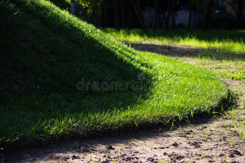 Slope with Lawn Grass, Erected As Part of the Comfortable Urban ...