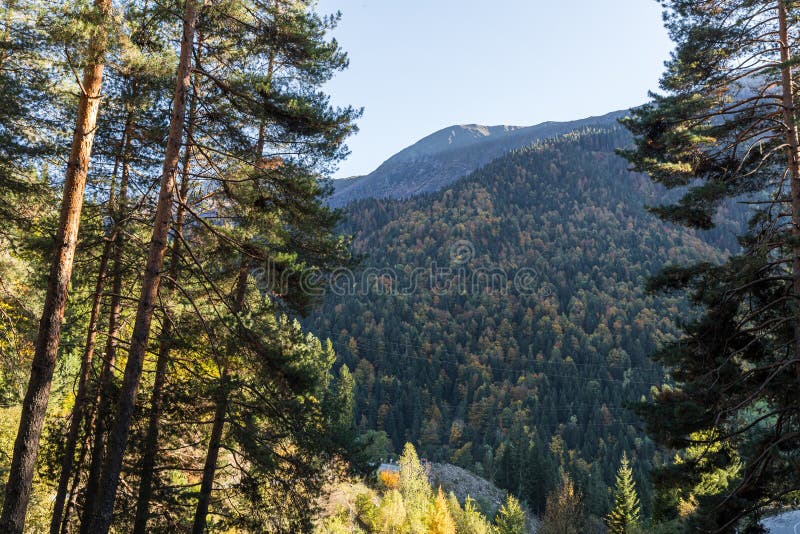 The Slope of the Mountain Overgrown with Forest is Visible in the Gap ...