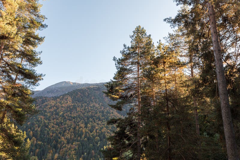 The Slope of the Mountain Overgrown with Forest is Visible in the Gap ...