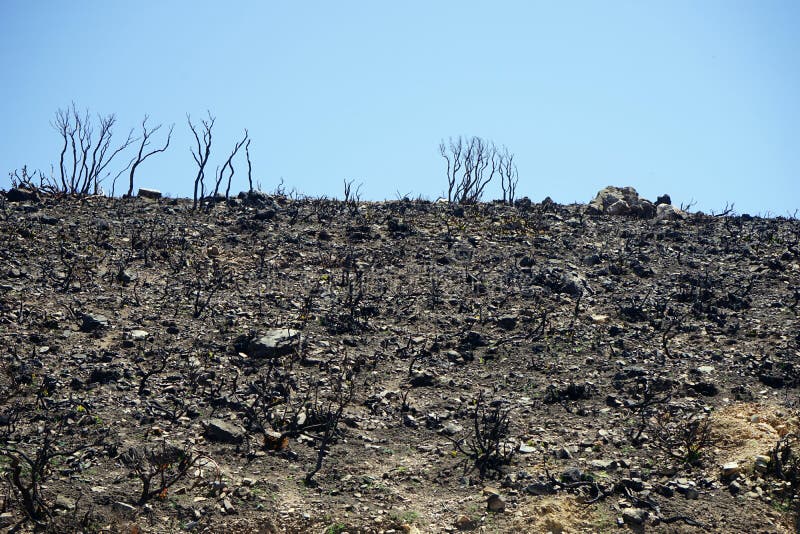 Burned slope of rock stock photo. Image of arid, rock - 118011130
