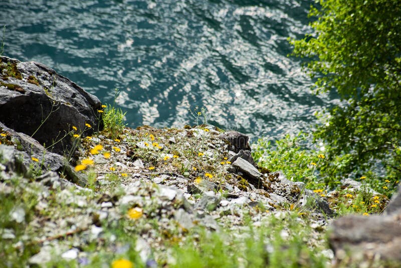 Slope of a Rock with Greenery, Soft Focus Stock Image - Image of ...