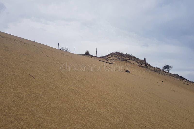 The Slope of a Sand Dune with Traces of a Forest Fire Stock Image ...