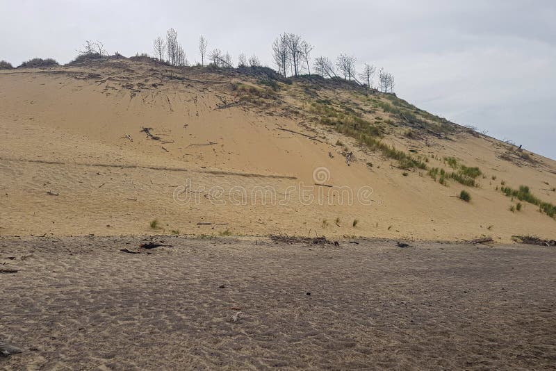 The Slope of a Sand Dune with Traces of a Forest Fire Runs Towards the ...