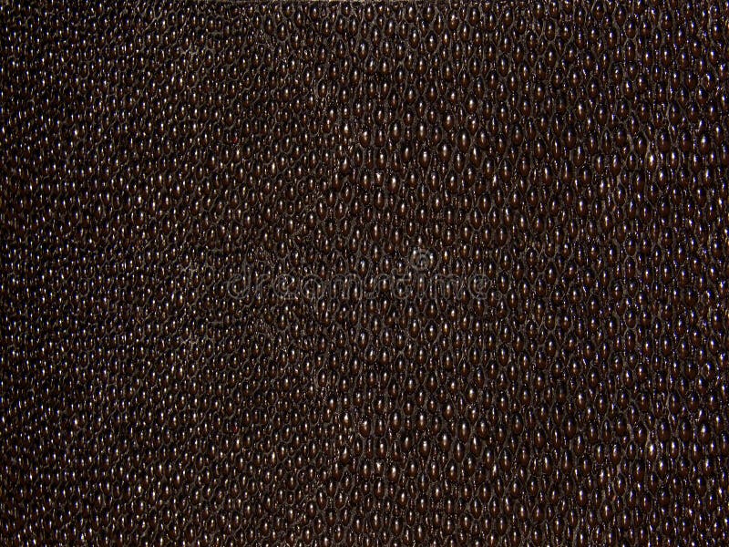 Slope skin stock image. Image of exotic, manufacture, tropical - 8007407