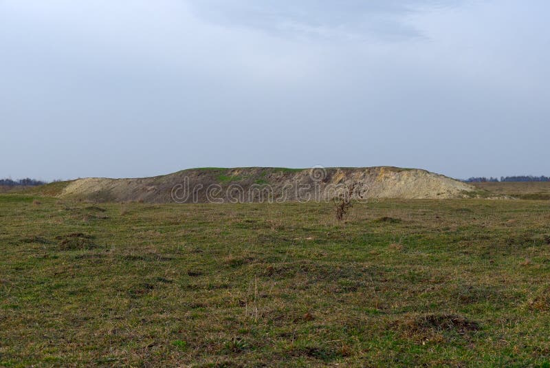 The Slope of the Clay Bank of the River with Spruce Forest and Erosion ...