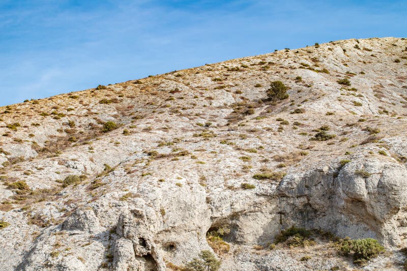 Slope of Stone Mountain with Parse Trees in Close-up Against Blue Sky ...