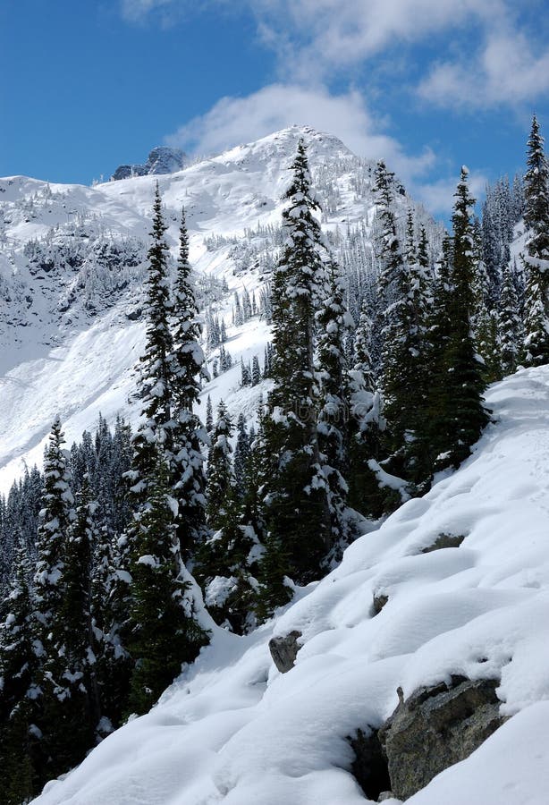 Slopes in Cascade Mountains Stock Photo - Image of peak, hill: 3360678