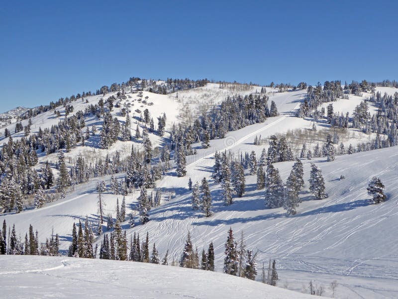 Powder Mountain Ski Resort in Utah Stock Photo - Image of snowy, cold ...