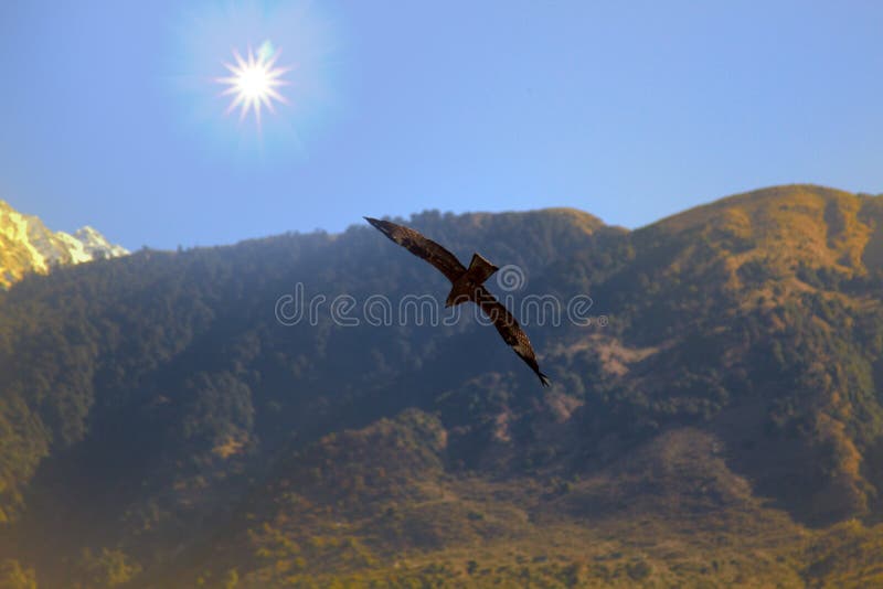 The Slopes of the Siwalik Ridge Stock Photo - Image of mountainous ...