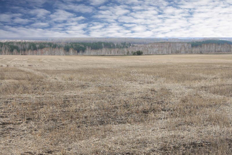 Sloping agricultural field stock photo. Image of land - 26316958