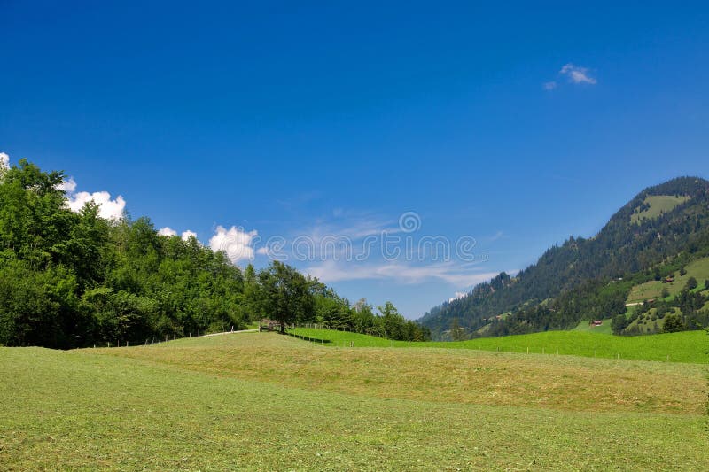 Sloping field stock image. Image of spring, grass, green - 15769327