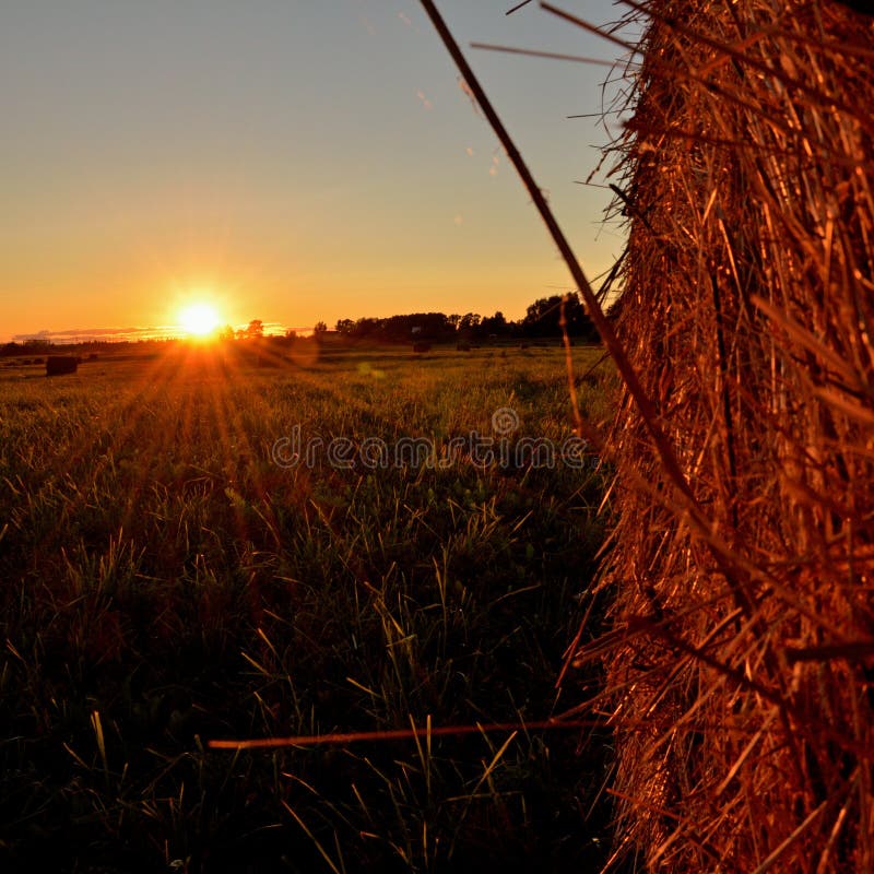 Sloping field stock photo. Image of sunrise, field, summer - 29233702