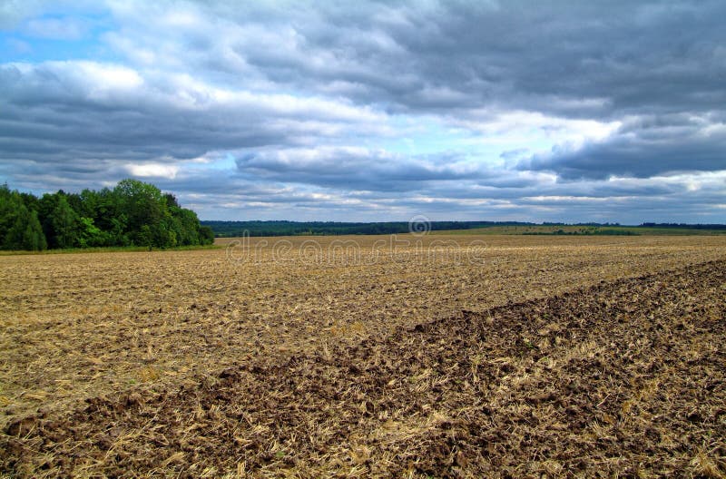Sloping Field in Autumn in Russia Stock Photo - Image of countryside ...