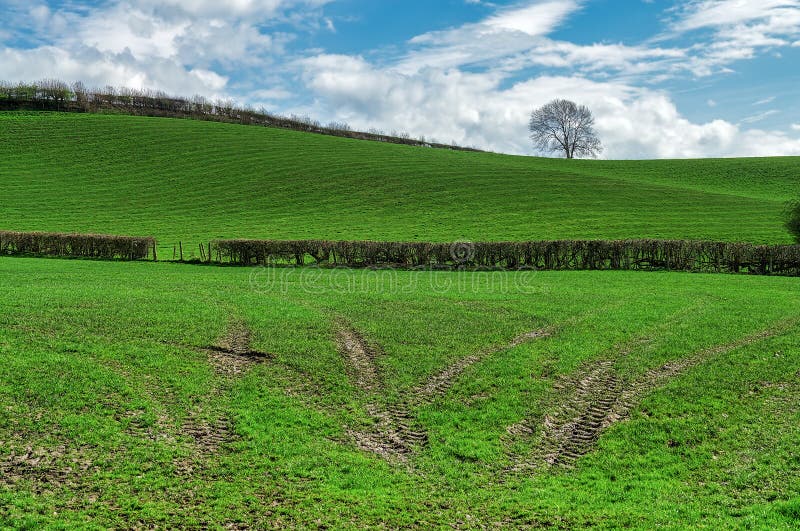 Sloping Field with Tractor Tyre Marks. Stock Image - Image of scene ...