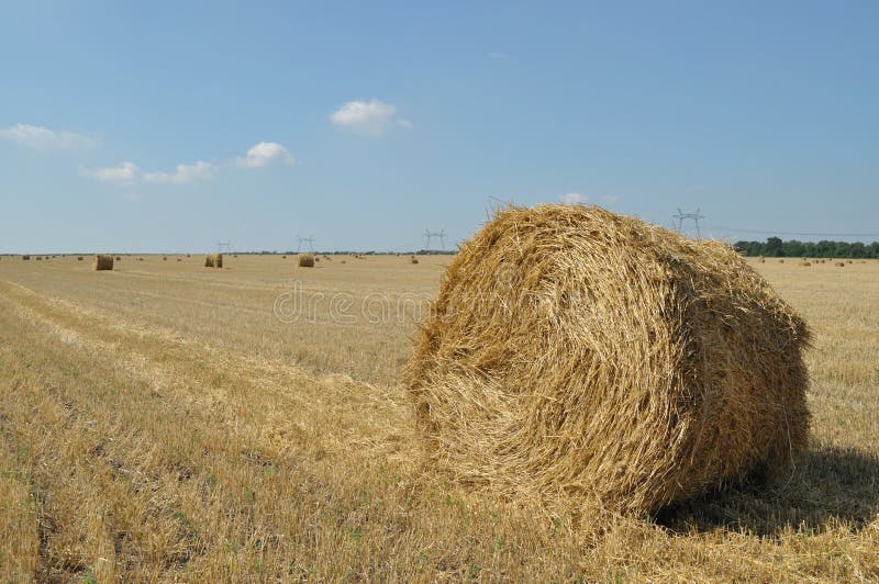 On The Sloping Field Of Wheat Is A Big Stack Of Straw Stock Image ...