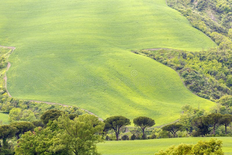 Sloping fields in a valley stock image. Image of trees - 227872343