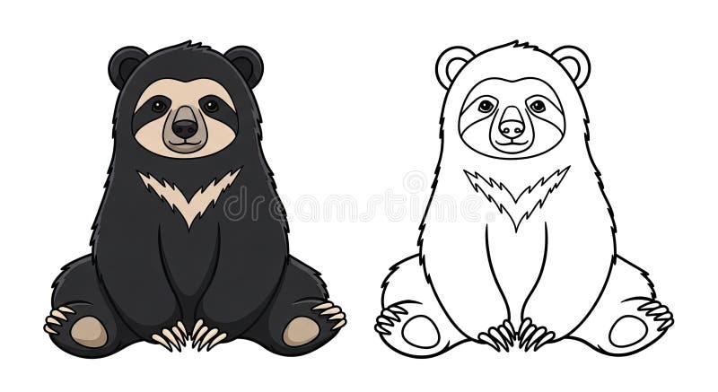 Sloth Bear Coloring Page Presenting Realistic and Outline Bear Views ...