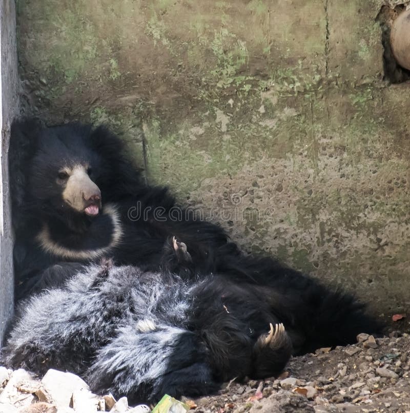 Man Found Hisself Facing Stock Photos - Free & Royalty-Free Stock ...