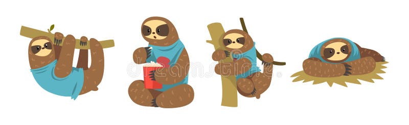 Sloth Funny Character in Shirt in Different Pose Vector Set Stock ...