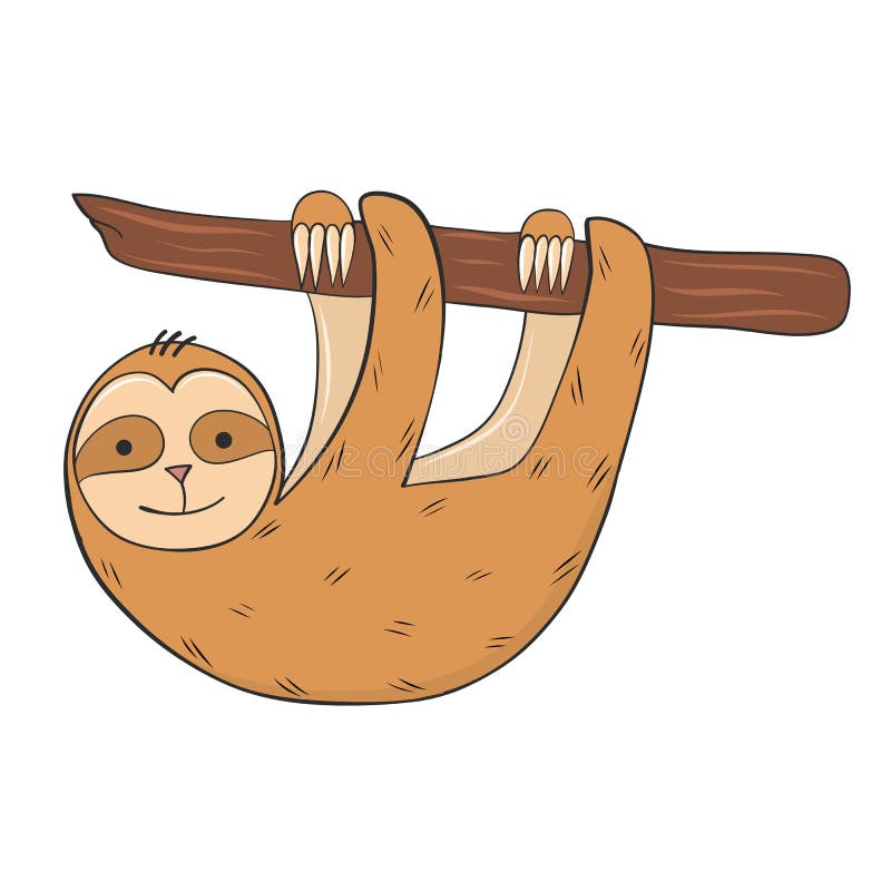 Sloth Hanging on Branch Hand Drawn Stock Vector - Illustration of ...