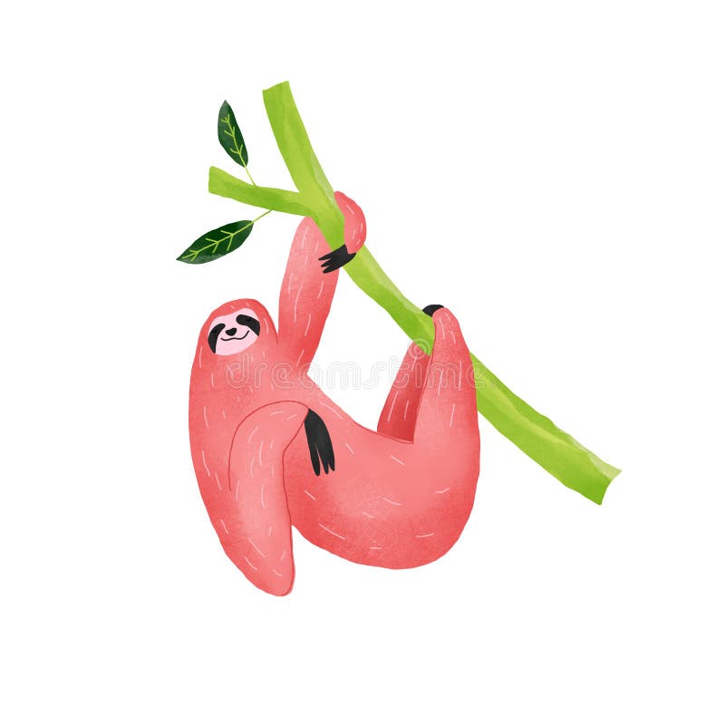 Sloth Hanging on Branch Image with Texture Stock Illustration ...