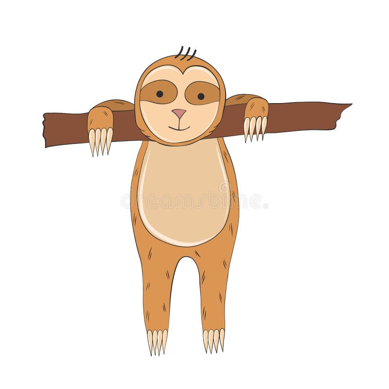 Sloth Lying on Branch Hand Drawn Stock Vector - Illustration of ...