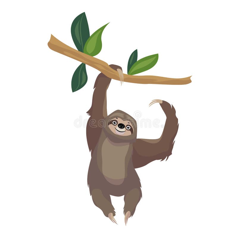 Sloth on Tree Branch Icon, Cartoon Style Stock Vector - Illustration of ...