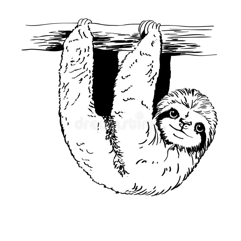 Hanging Sloth Silhouette