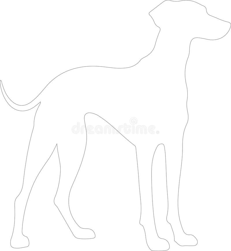 Sloughi Outline Outline Silhouette Generative Ai Stock Vector ...