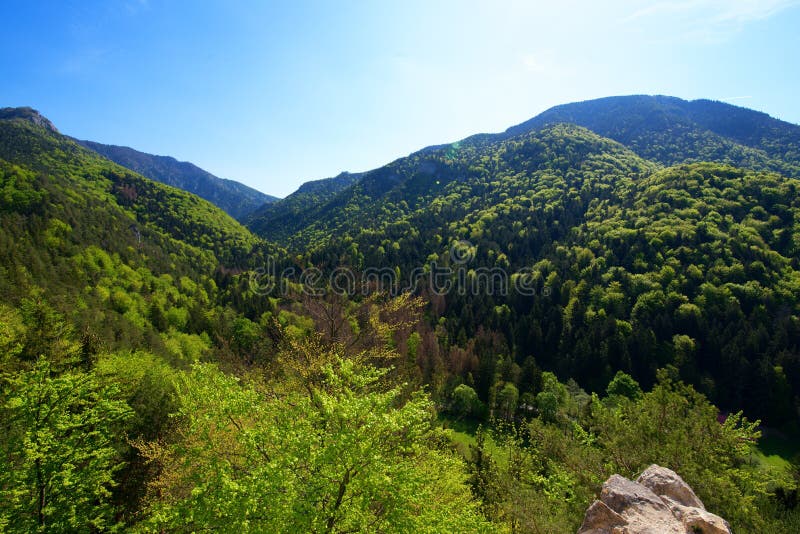 Slovak forests stock image. Image of cloud, clouds, view - 115900237