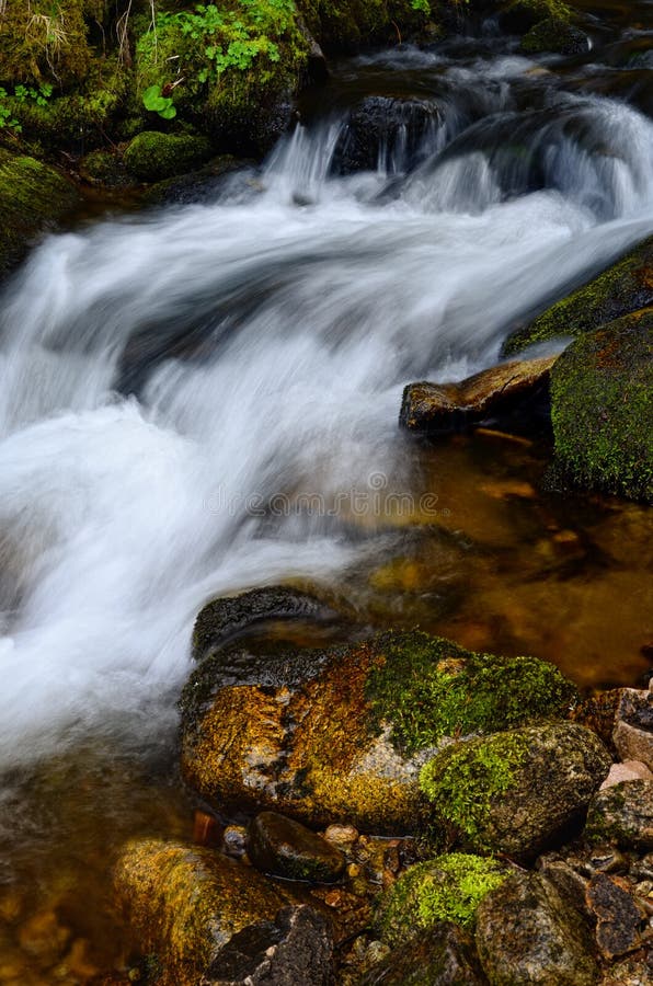 Slovak mountain stream stock image. Image of river, shine - 28313517