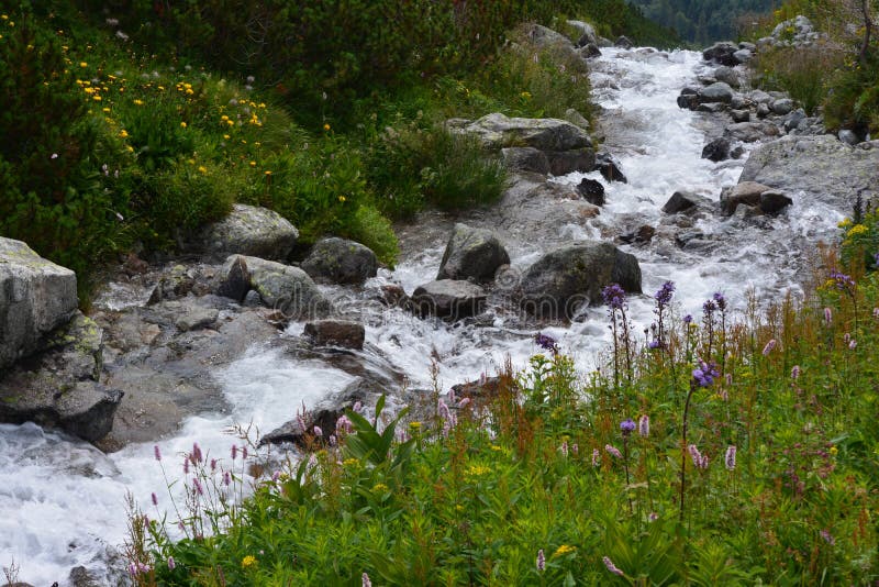 Slovakia mountains stock photo. Image of plants, meadows - 43912580