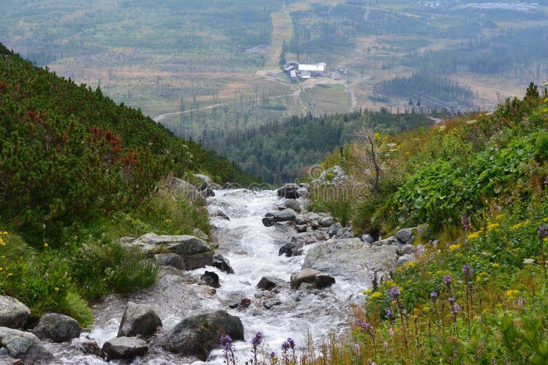 Slovakia mountains stock photo. Image of flowers, cablecar - 43912586