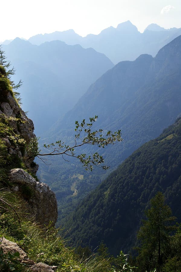 Slovenia mountains stock photo. Image of tree, view, rock - 10876688