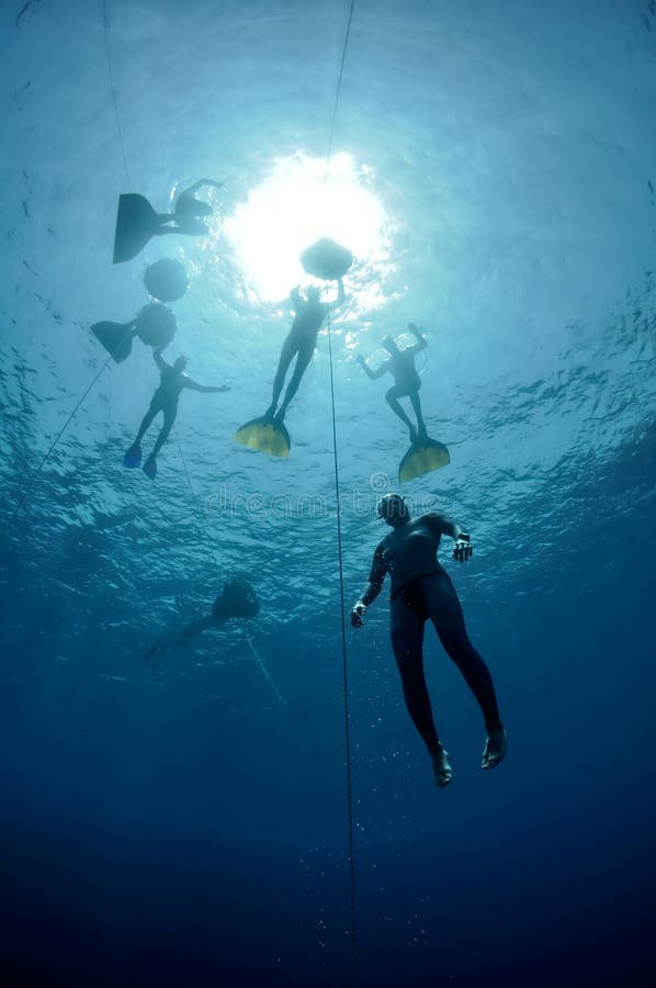 Slow ascent from the depth stock photo. Image of freediving - 15099566