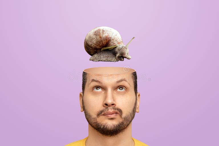 Tired Snail Cartoon Stock Photos - Free & Royalty-Free Stock Photos ...