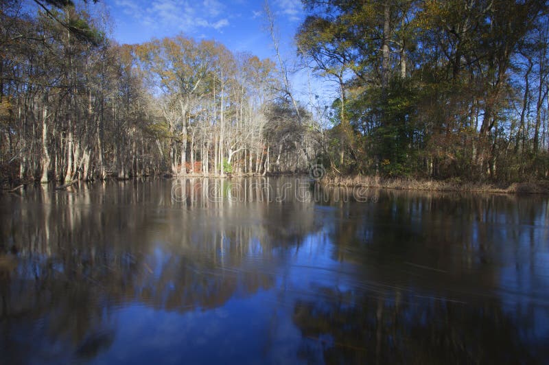 Slow current stock photo. Image of stream, carolina, black - 63447308