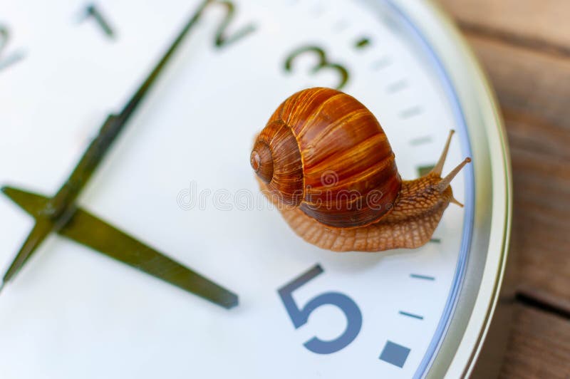 Slow down a bit stock photo. Image of tense, stop, time - 121893168