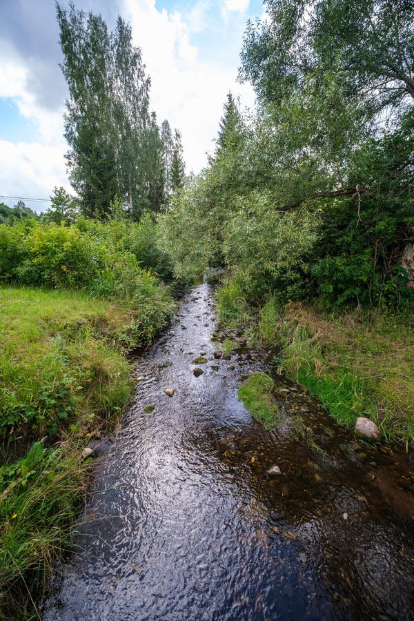 Slow Forest River in Summer Green Woods with Rocks in Stream Stock ...
