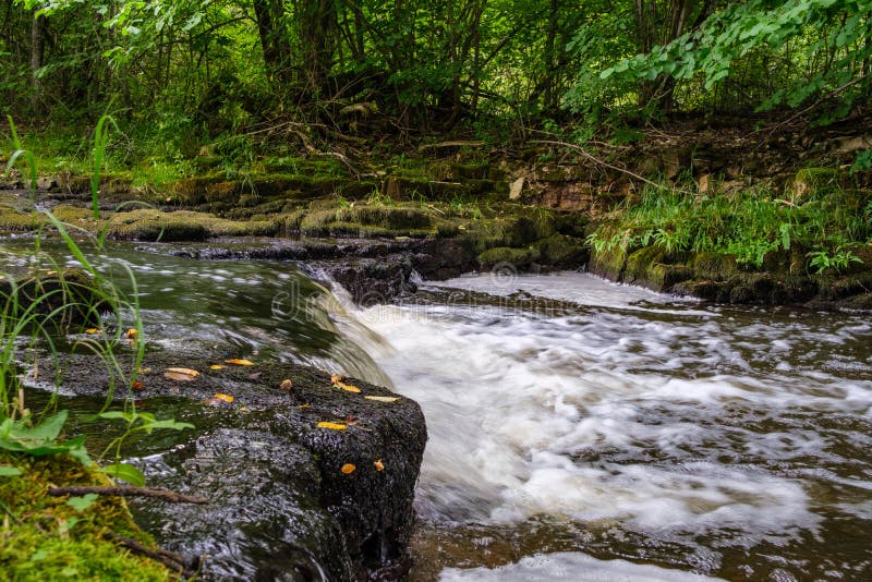 Slow Forest River in Summer Green Woods with Rocks in Stream Stock ...