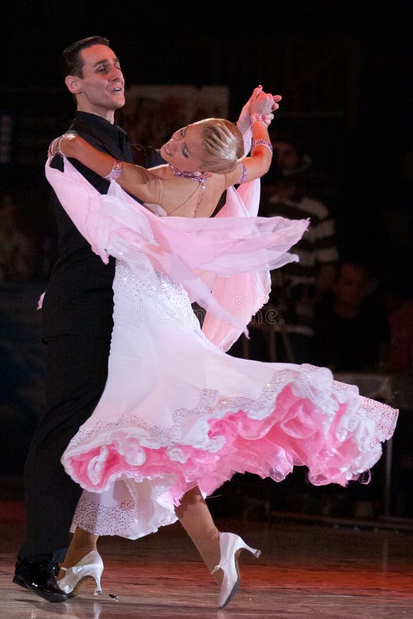 The Slow Fox Lesson editorial stock photo. Image of floor - 13466493