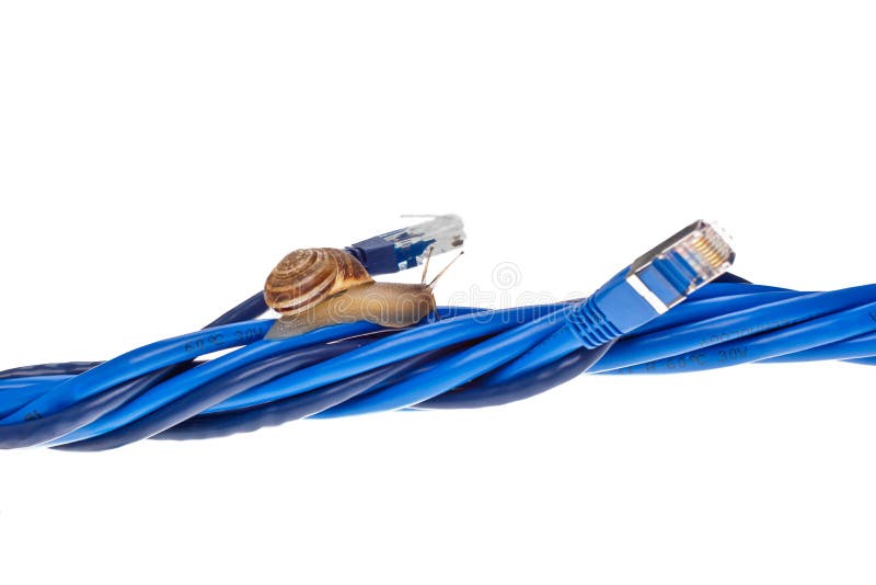 Slow Internet stock photo. Image of slow, email, snail - 29606148